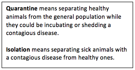 Canine Influenza in Ontario: What Shelters Should Know - Canadian ...