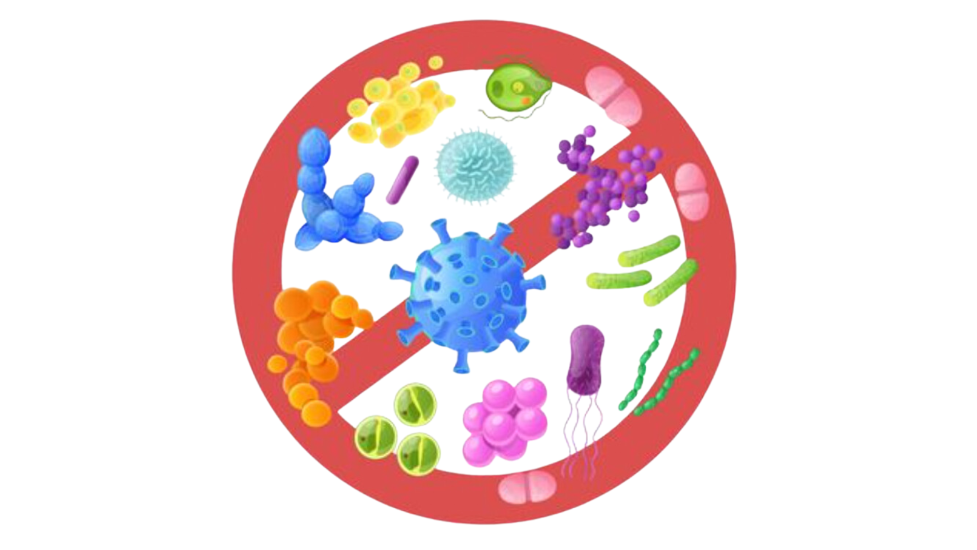 WHO List of Medically Important Antimicrobials - Canadian Animal ...